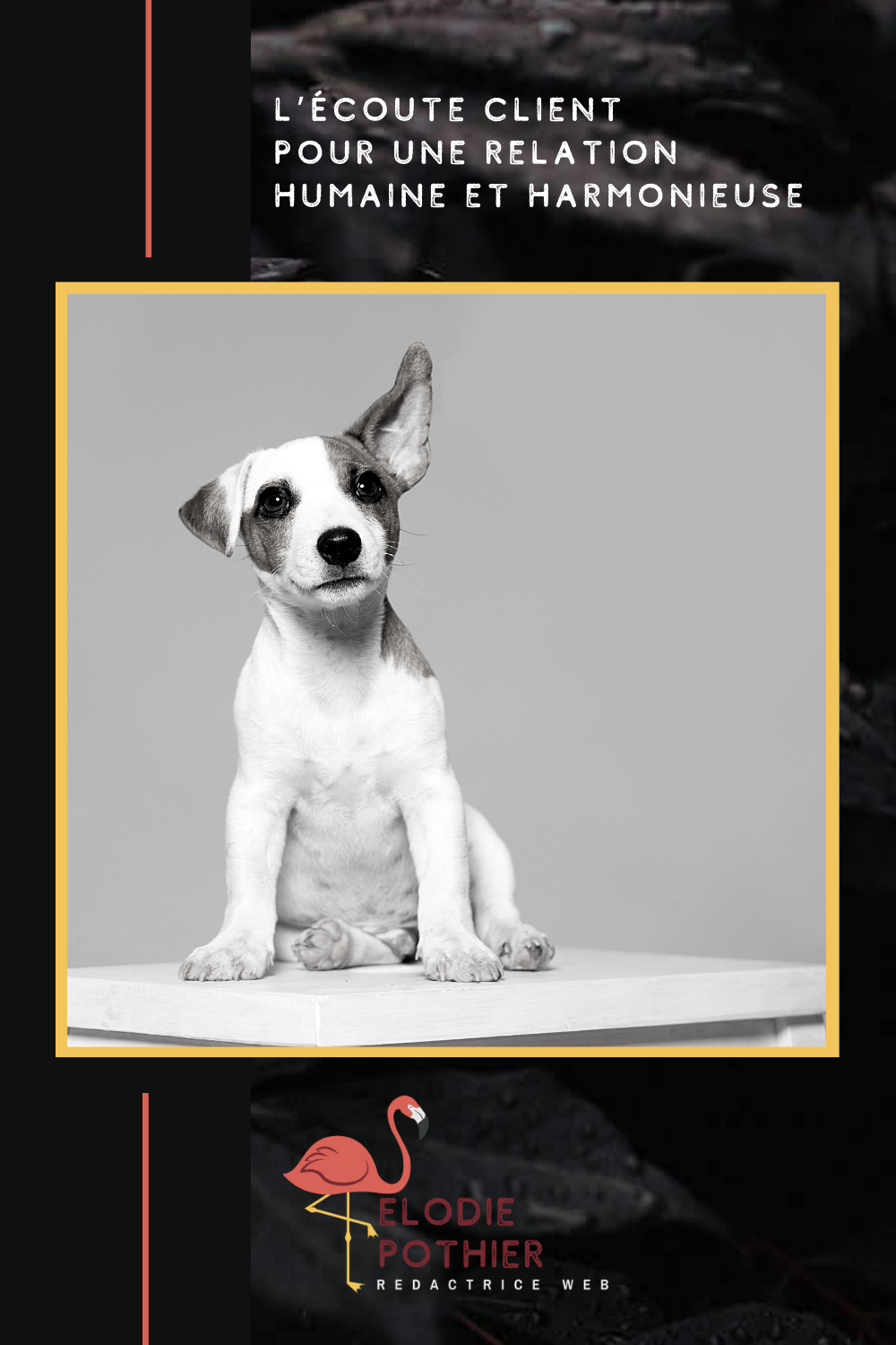 Écoute client : élément-clé de l’expérience client et de la relation client